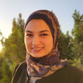 AfriClimate AI - AI for Climate Resilience